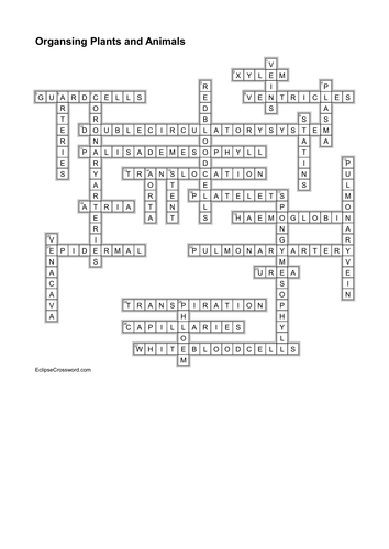 AQA GCSE Biology - B4 - Organising Animals and Plants Keyword ...
