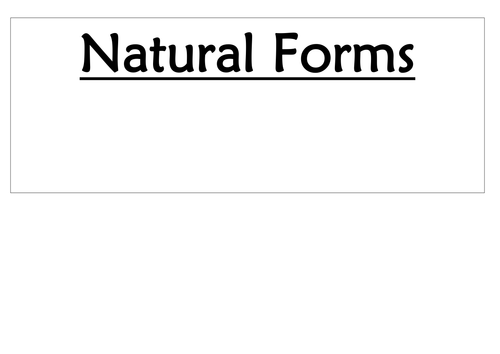 Art - Natural Forms | Teaching Resources