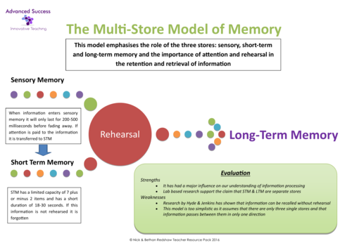 Poster - Memory - The Multi Store Model of Memory | Teaching Resources Poster - Memory - The Multi Store Model of Memory | Teaching Resources