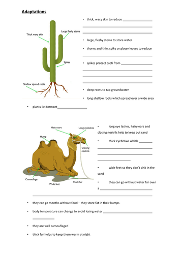 Hot Deserts | Teaching Resources