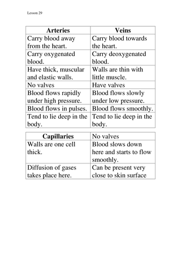 B4.2 - The blood vessels | Teaching Resources