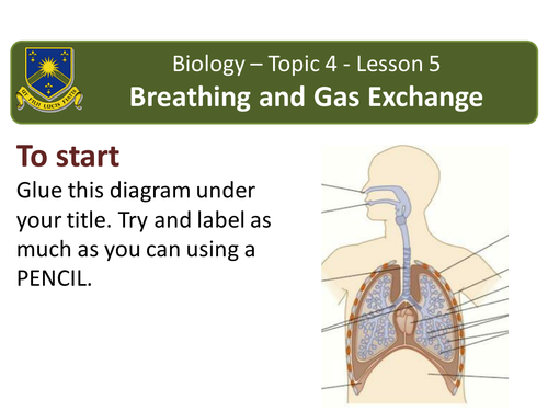 B4.5 - Breathing and Gas Exchange | Teaching Resources