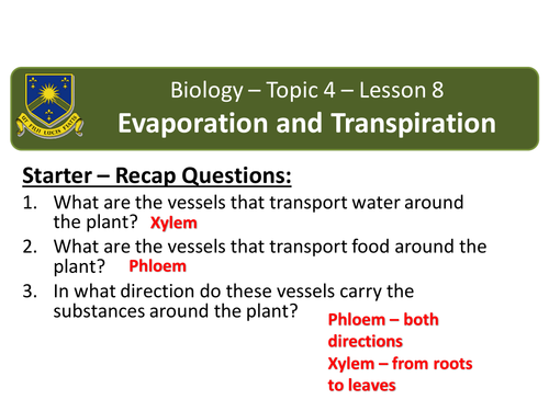 B4.8 - Evaporation and Transpiration | Teaching Resources