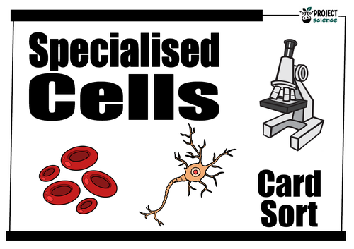 Specialised Cells Card Sort | Teaching Resources