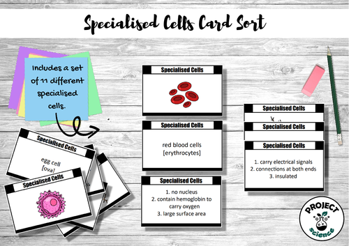Specialised Cells Card Sort | Teaching Resources