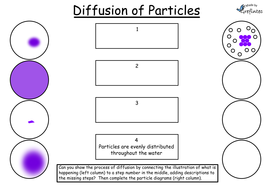 Diffusion - Differentiated Worksheets | Teaching Resources