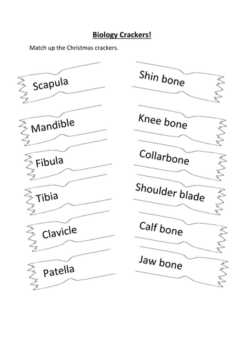 Christmas Science worksheet (Biology) - anatomy name consolidation ...