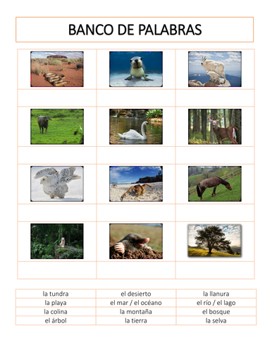 Donde viven las plantas y los animales | Teaching Resources