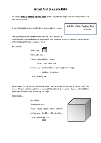 Rate of diffusion- new Biology AQA GCSE 9-1 | Teaching Resources