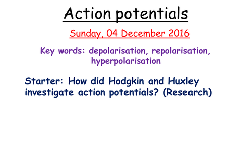 Grey matter Action potentials, neurones and synapses Edexcel A level ...