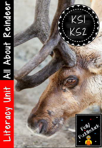 All about Reindeer (Literacy Unit for KS1 and Lower KS2) | Teaching ...
