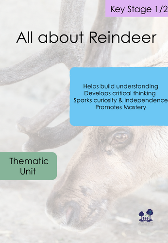All about Reindeer | Teaching Resources