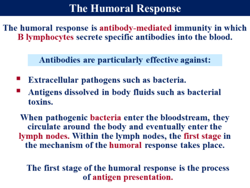 BioA_4.1.1 Immunology 2 - Specific Immunity - Humoral Response ...
