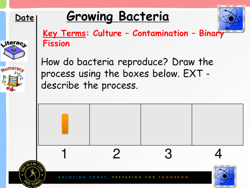 Growing Bacteria NEW 2016 GCSE | Teaching Resources