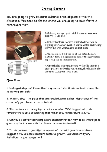 Growing Bacteria NEW 2016 GCSE | Teaching Resources
