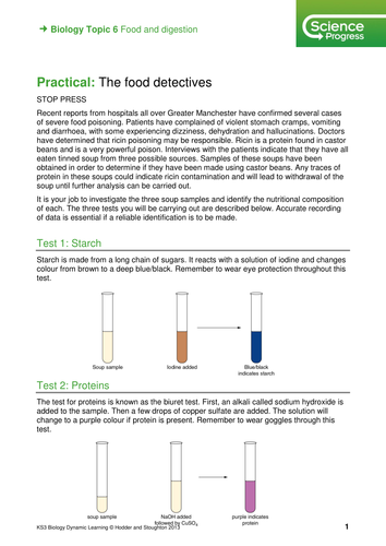 Science Intervention Club Activities | Teaching Resources