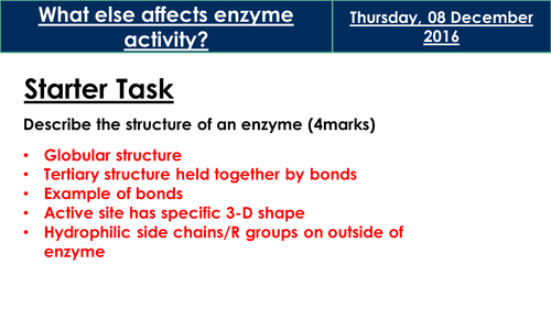 AQA AS Biology Section 1: Enzymes | Teaching Resources