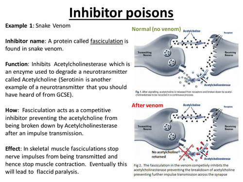 AQA AS Level Biology Section 1: Effect of Inhibitors on Enzymes ...