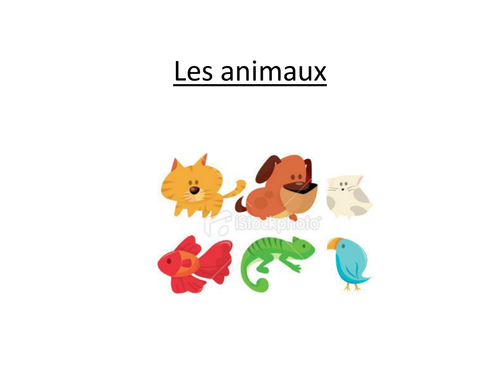 French pets / les animaux domestiques presentation for younger children ...