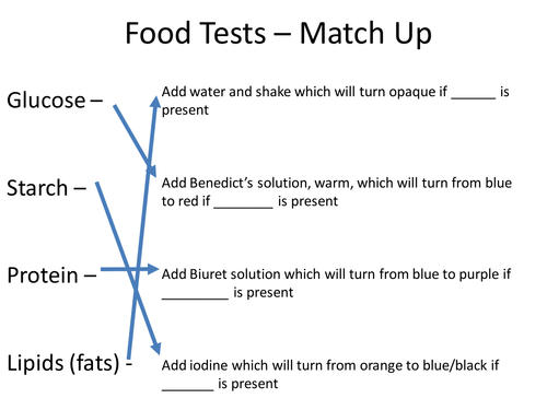 Digestive System and Enzymes - WHOLE LESSON AQA New 2016 GCSE Biology ...
