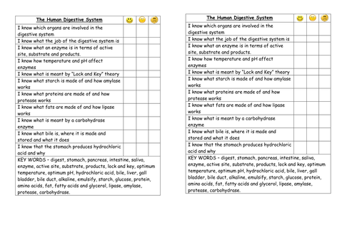 Digestive System and Enzymes - WHOLE LESSON AQA New 2016 GCSE Biology ...