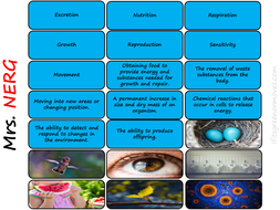 Mrs NERG / GREN Memory Card Game | Teaching Resources