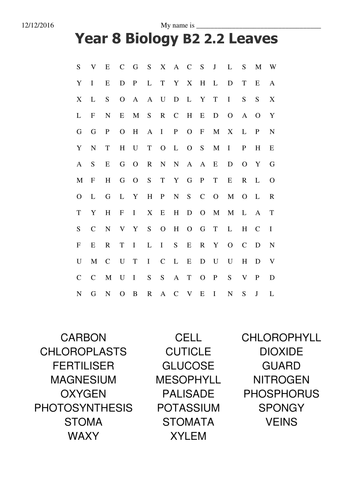 A digital version of the Year 8 Biology B2 2,2 "Leaves" lesson ...