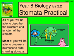 A Year 8 Stomata Practical to support the Biology B2 2.2 "leaves ...