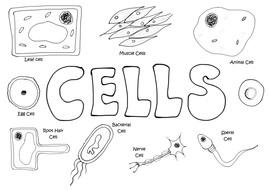 Cells Poster to colour in - start of term activity science | Teaching ...