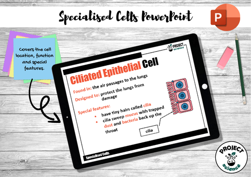 Specialised Cells PowerPoint Presentation and Activity Sheets ...