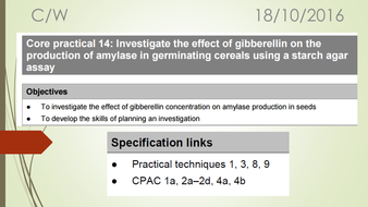 A-Level Biology B Edexcel – Topic 9 – L4 Core Practical 14 Investigating giberellin | Teaching ...