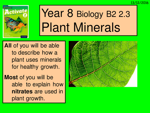 A digital interpretation of the Year 8 B2 2.3 "Plant Minerals" lesson ...