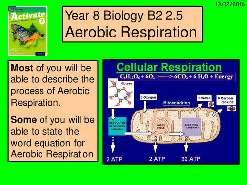 A multimedia version of the Year 8 B2 2.5 "Aerobic Respiration" lesson ...