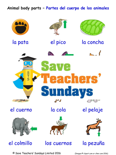 Animals in Spanish Worksheets, Games, Activities and Flash Cards (with ...