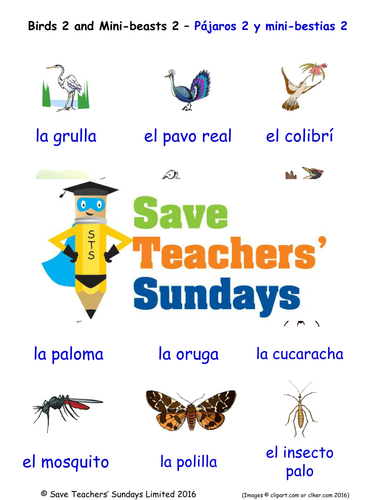 Animals in Spanish Worksheets, Games, Activities and Flash Cards (with ...