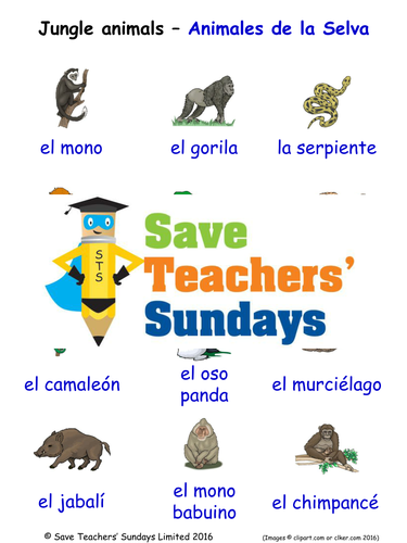 Animals in Spanish Worksheets, Games, Activities and Flash Cards (with ...
