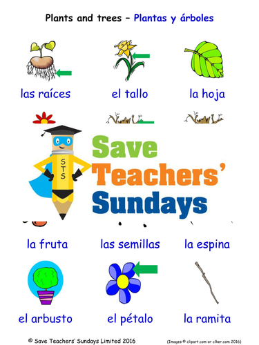 Plants and Trees in Spanish Worksheets, Games, Activities and Flash ...