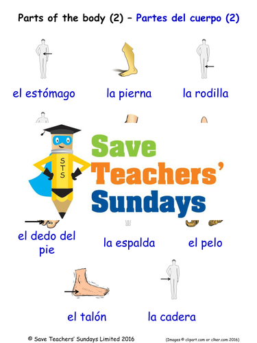 Parts of the Body in Spanish Worksheets, Games, Activities and Flash ...