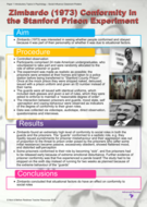 Poster - Social Influence - Zimbardo (1973) Conformity in the Stanford ...