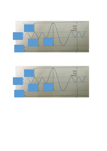 Aqa Gcse Pe 2016 New Spec 1 3 The Respiratory System Teaching