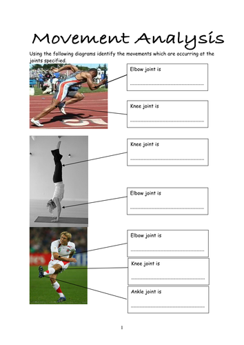 Edexcel GCSE PE 2016 (9-1) Joints & Movement | Teaching Resources