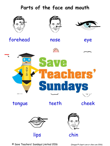 Parts of the Face EAL/ESL Worksheets, Games, Activities and Flash Cards ...