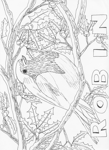 Christmas Robin Bird Colouring Page Top Up Activity | Teaching Resources