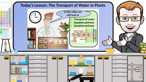 A Level Biology Water Movement in Plants Lesson & Activities | Teaching ...