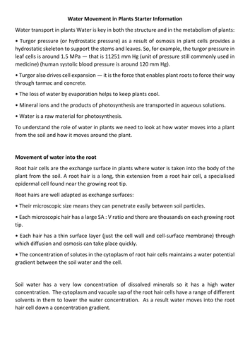 A Level Biology Water Movement in Plants Lesson & Activities | Teaching ...