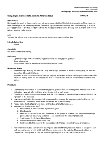 A Level Biology Structure of the Pancreas Lesson & Activities ...