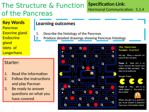 A Level Biology Structure Of The Pancreas Lesson And Activities