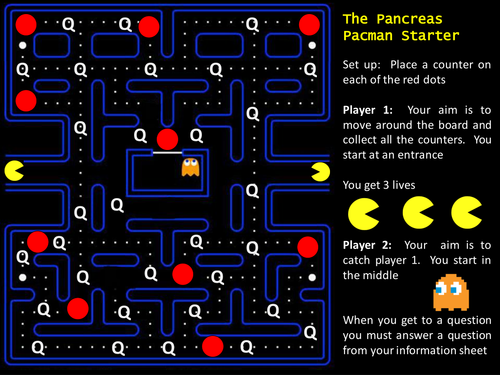 A Level Biology Structure of the Pancreas Lesson & Activities ...