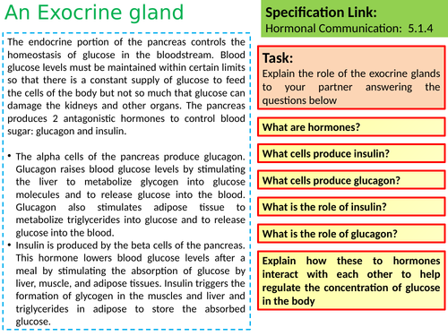 A Level Biology Structure of the Pancreas Lesson & Activities ...