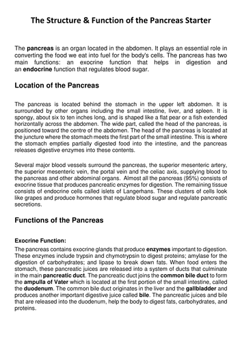 A Level Biology Structure of the Pancreas Lesson & Activities ...
